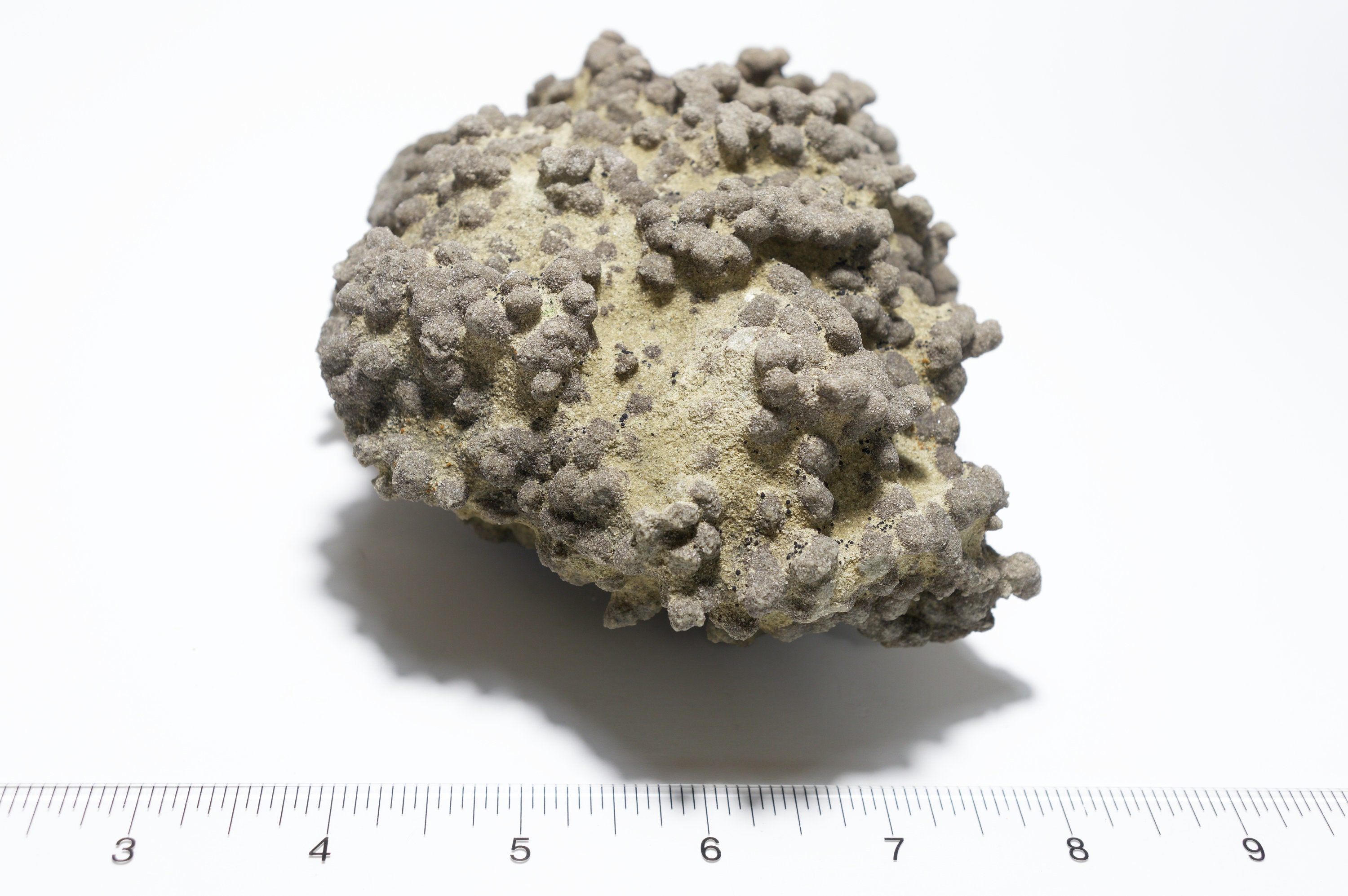 Large Botryoidal Sandstone Concretion - Wyoming Sandstone Concretion ...