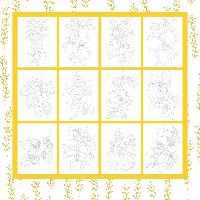 Watercolor Coloring Book Fruits Handmade Illustration | Etsy