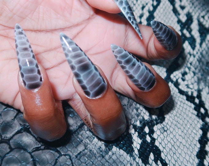 Shego| Cover Baddie BUYER PROGRAM| Black Snakeskin| 12PC Reusable Press ...