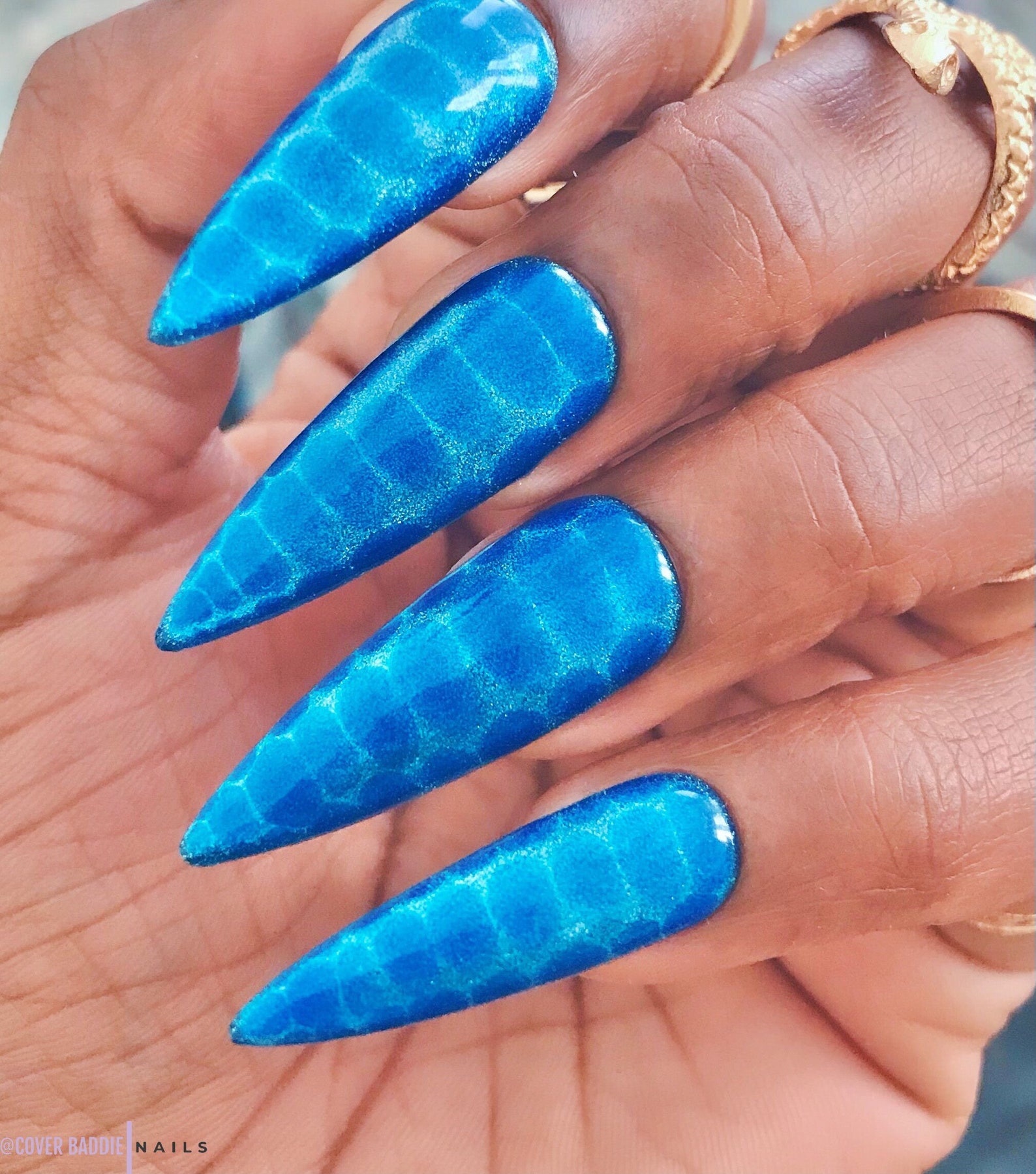 Tina Snake Cover Baddie BUYER PROGRAM Blue Velvet 12PC - Etsy