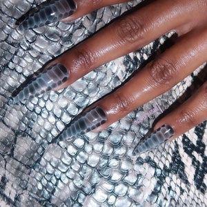 Shego| Cover Baddie BUYER PROGRAM| Black Snakeskin| 12PC Reusable Press ...