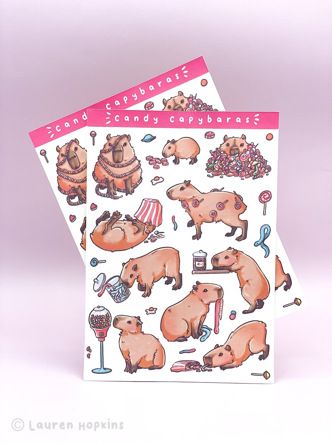 Candy Capybara Sticker Sheet | Sweets Capybara Stickers - Etsy UK