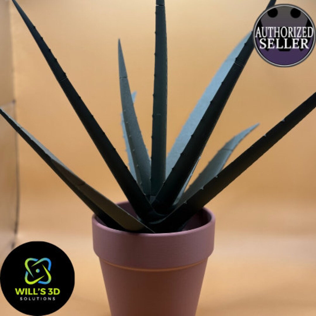 3D Printed Aloe Vera Pen Plant - Etsy