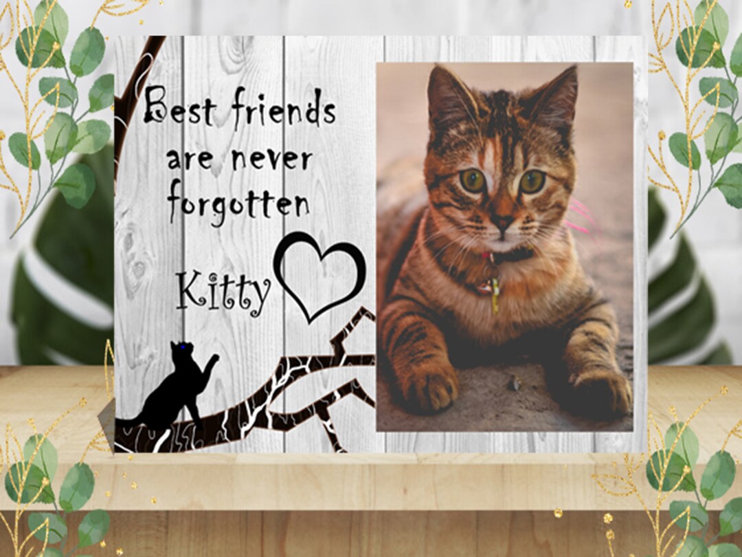 Personalized Cat Memorial Frame / Cat Loss Gift / Pet - Etsy