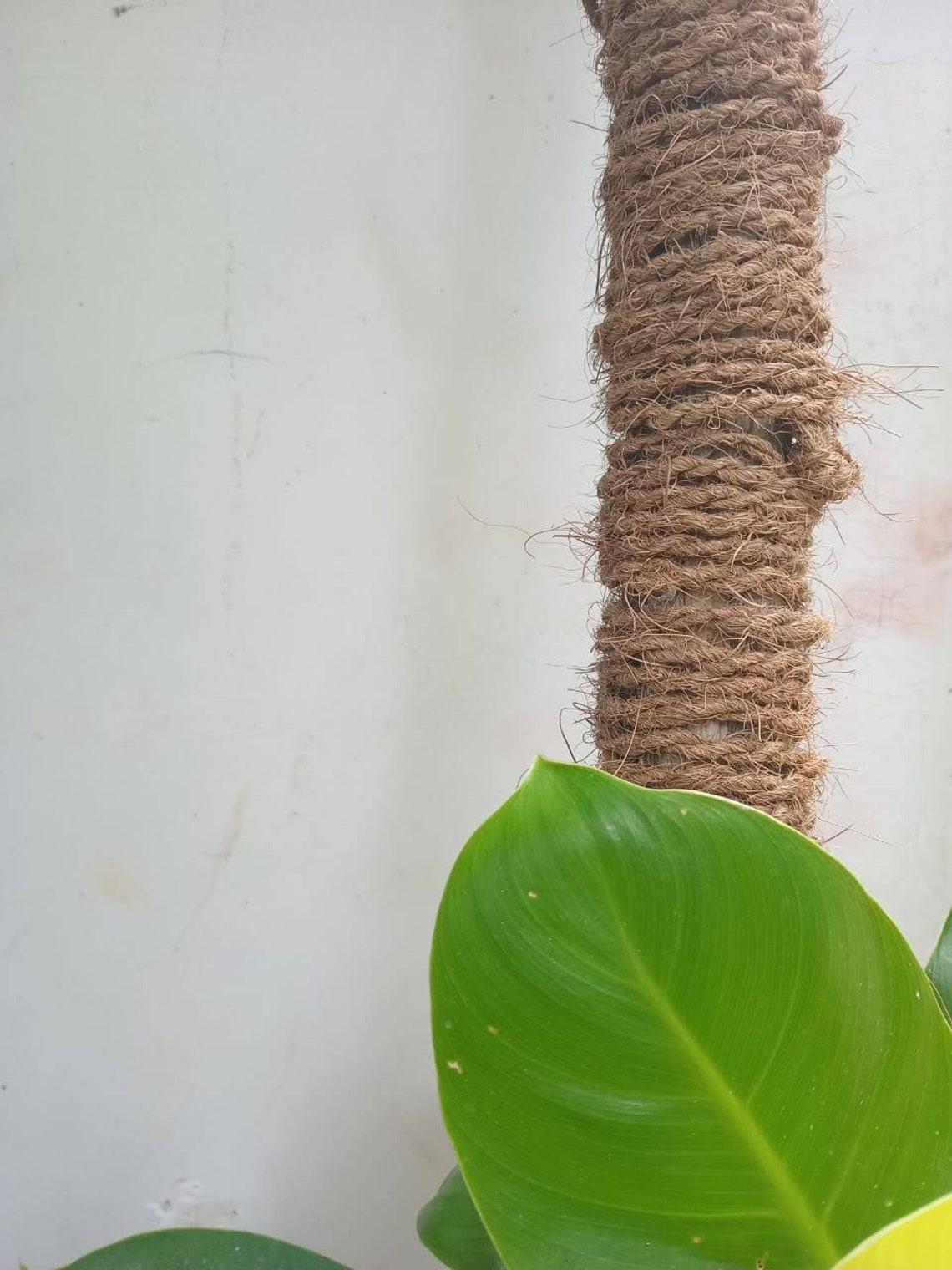 Coconut Fiber Rope/ Natural Coconut Rope/ Handmade Coconut Coir Rope ...