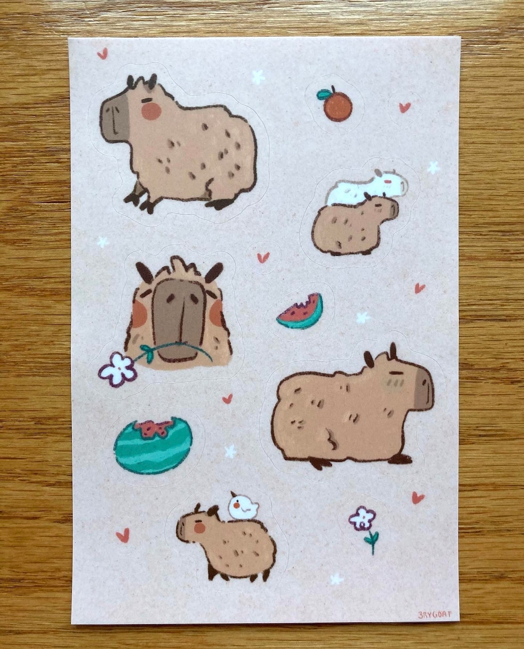 Capybara Sticker Sheet Cute Capybara Sticker Pack Coconut - Etsy