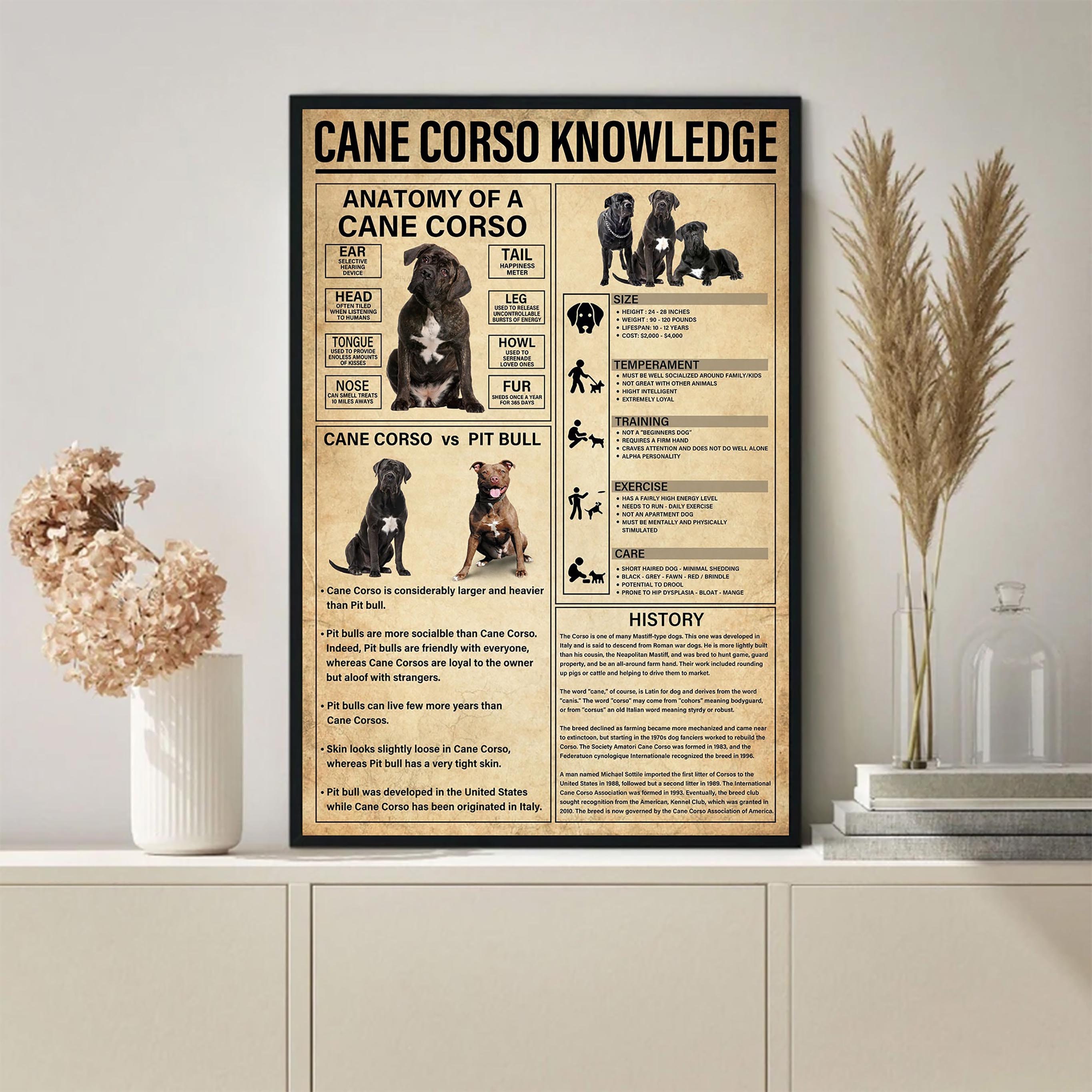 Is International Cane Corso Registry Legit