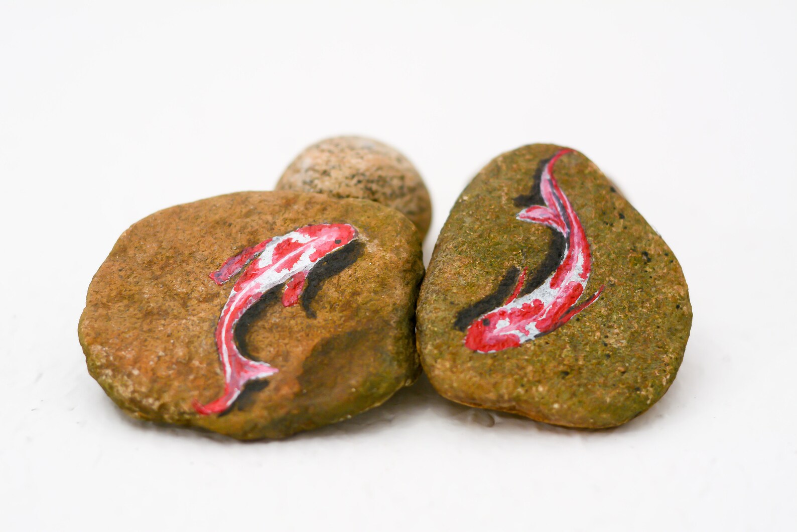 Painted Rock-koi Fish Art-hand Painted Pebble-unique Birthday Gift-koi ...
