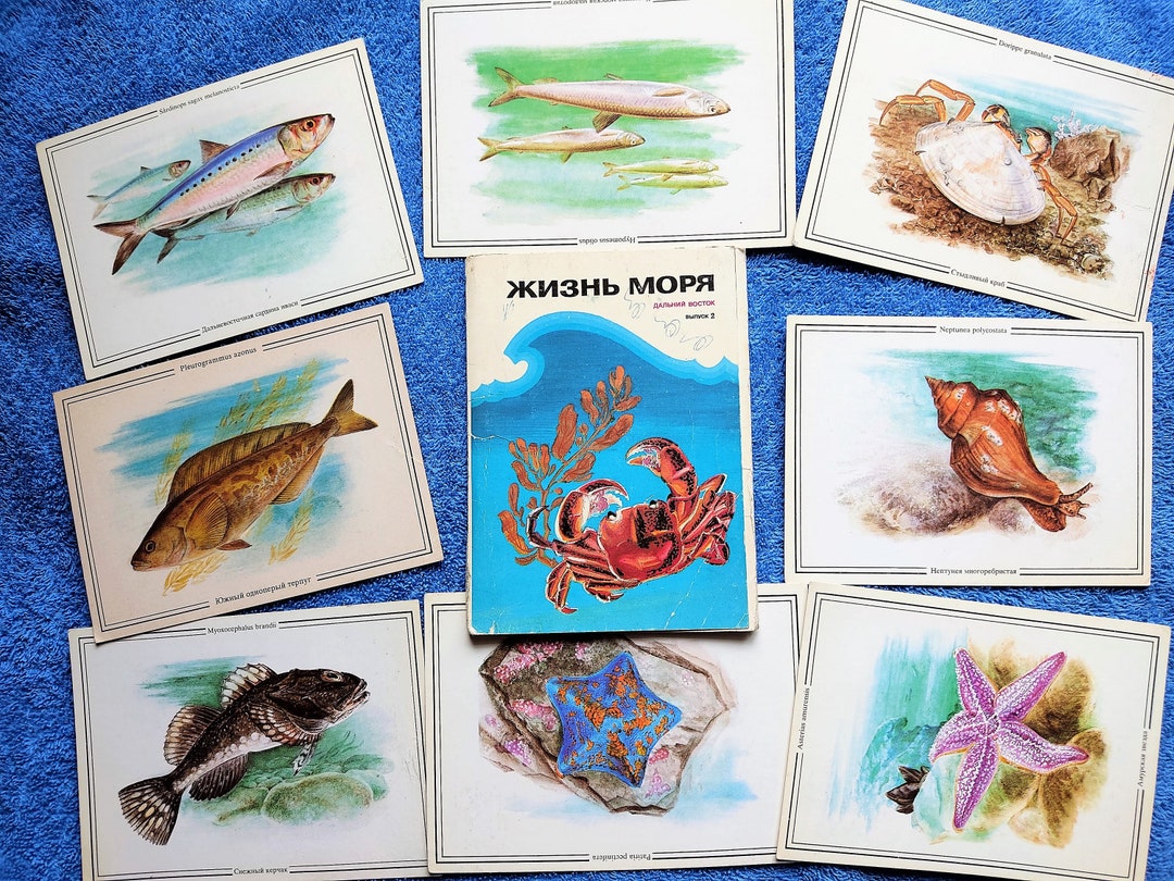 Set 16 Vintage Nautical Postcards Life of the Sea 1986 With Drawings of ...