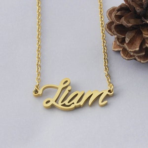 Custom Name Necklace, Liam Nameplate Necklace, Cursive Any Name ...