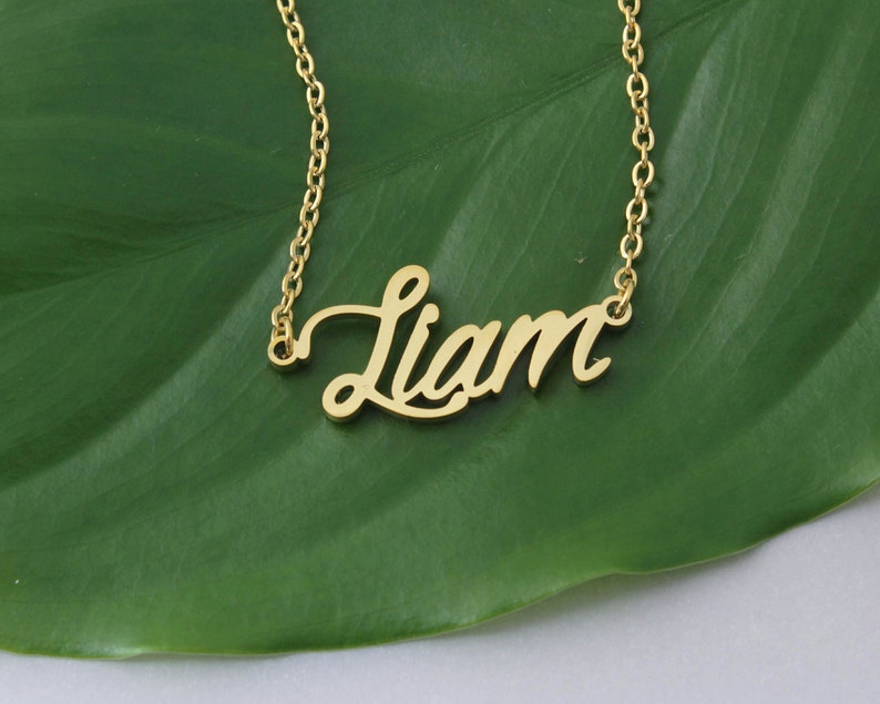 Custom Name Necklace Liam Nameplate Necklace Cursive Any - Etsy