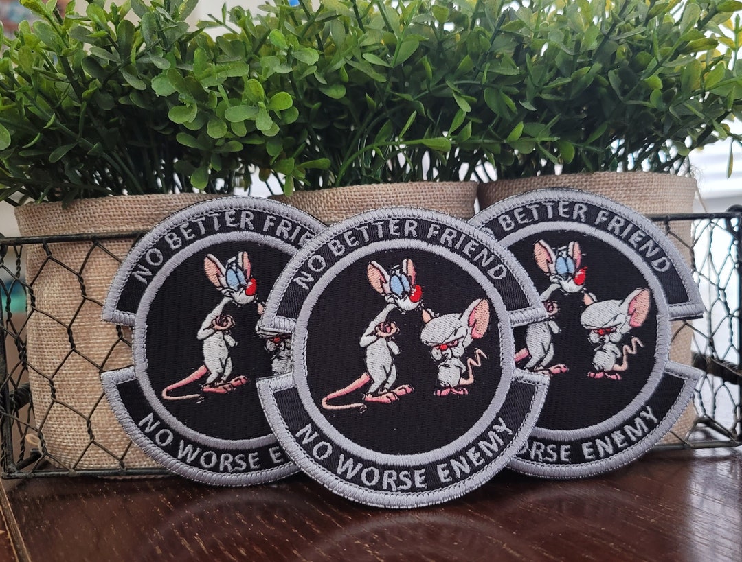 Pinky & the Brain Embroidered Velcro Patch. Moral Patch. Best Friends ...