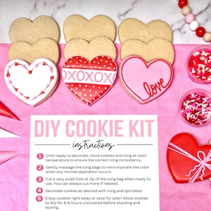 DIY Valentines Day Cookie Kit Decorate Your Own Cookies One Dozen - Etsy