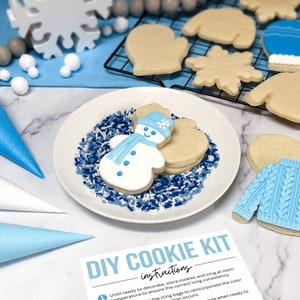 DIY Winter Cookie Kit - Decorate Your Own Cookies | One Dozen - Etsy