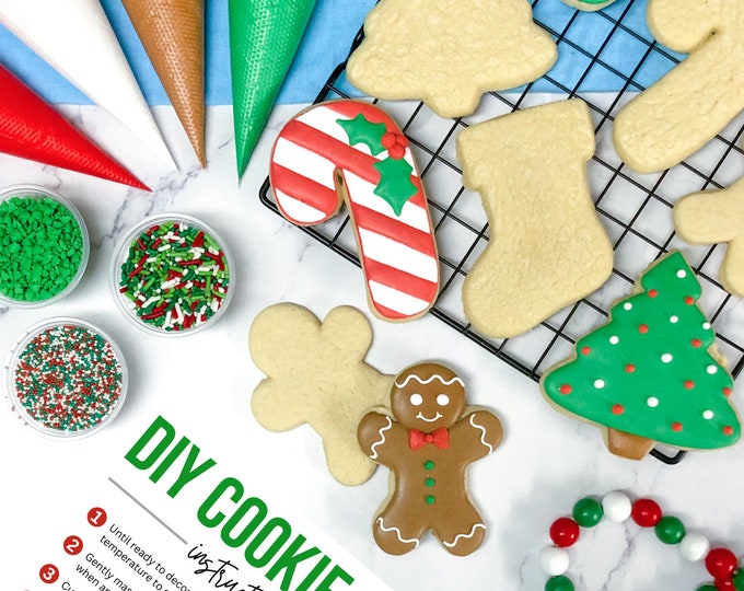 Christmas Cookie Decorating Kit | DIY Cookie Kit | 4 Icing Bags | 4 ...
