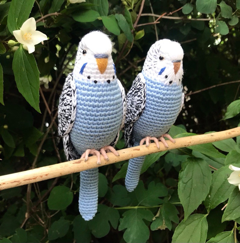 Blue White Budgie Stuffed Animal Realistic Parakeet Plush - Etsy