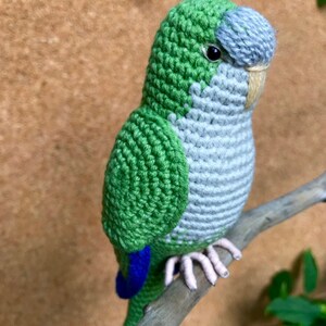 Quaker Parrot Stuffed Animal Toy Quaker Parakeet Soft Animal - Etsy