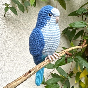 Blue Quaker Parakeet Realistic Amigurumi Plush Quaker Stuffed Animal ...