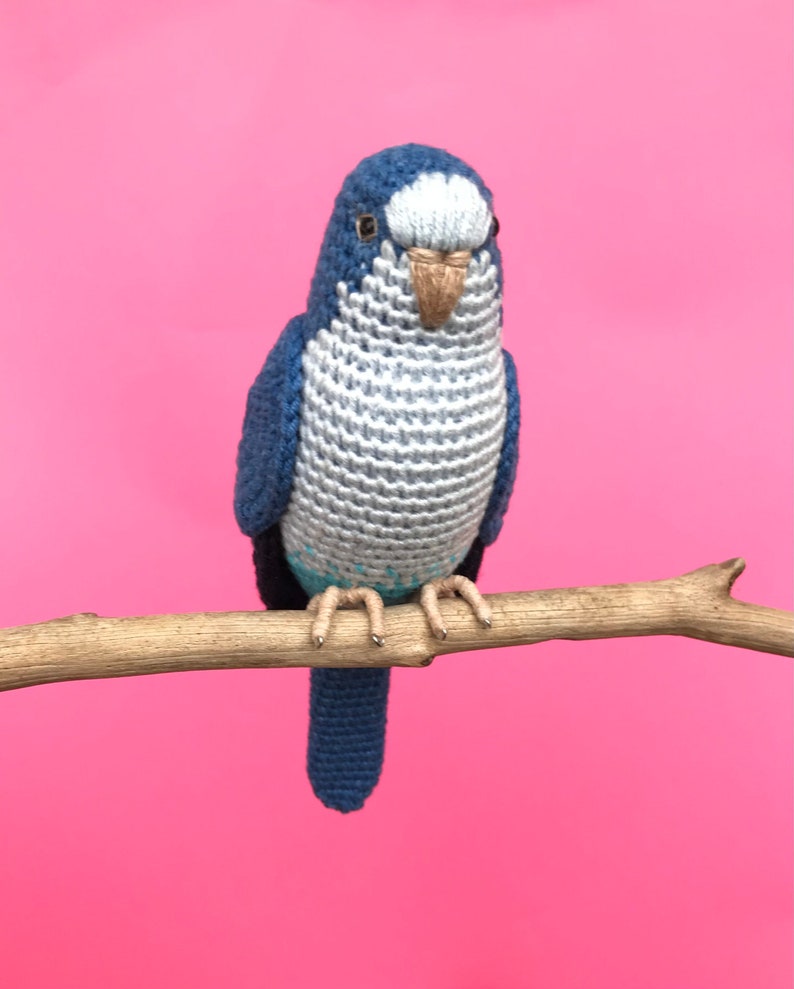 Blue Quaker Parakeet Realistic Amigurumi Plush Quaker Stuffed - Etsy
