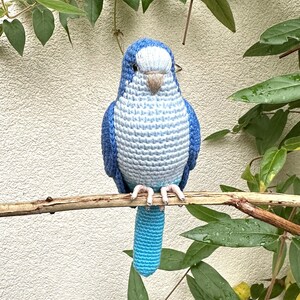 Blue Quaker Parakeet Realistic Amigurumi Plush Quaker Stuffed Animal ...