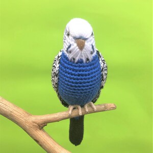 Cobalt Budgie Bird Stuffed Animal Plush Indigo Colored Budgie Parakeet ...