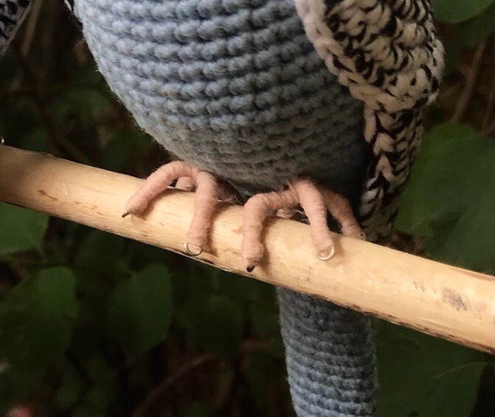 Blue White Budgie Stuffed Animal Realistic Parakeet Plush - Etsy