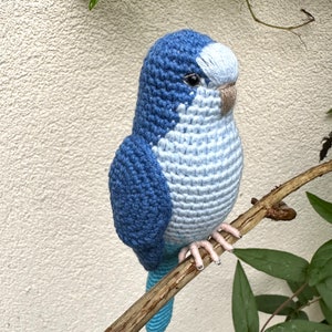 Blue Quaker Parakeet Realistic Amigurumi Plush Quaker Stuffed Animal ...