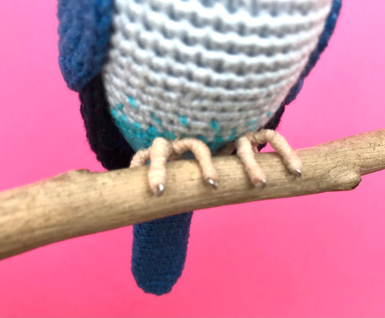Blue Quaker Parakeet Realistic Amigurumi Plush Quaker Stuffed - Etsy
