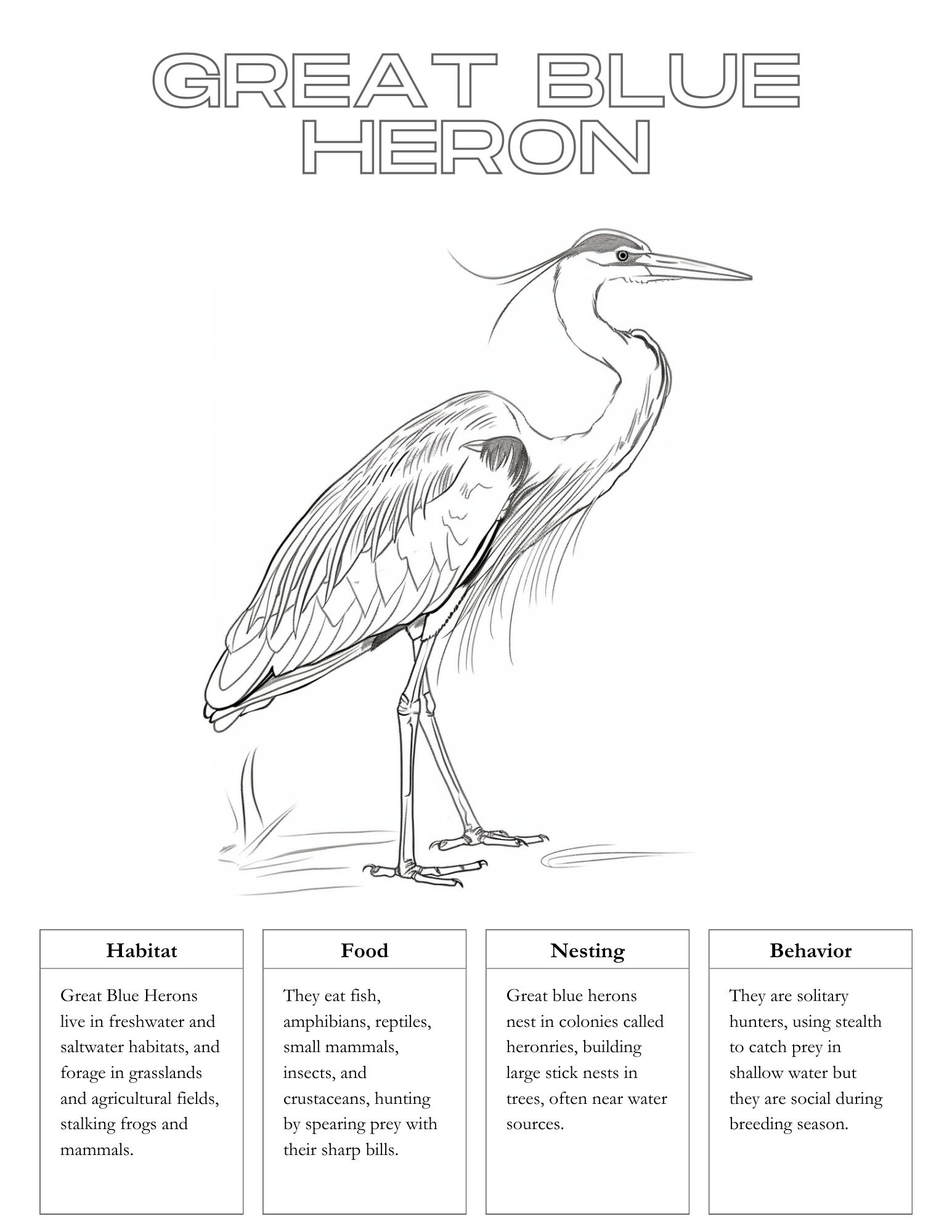 North American Birds Educational Series 1 - Bird Coloring Pages , 8.5 ...