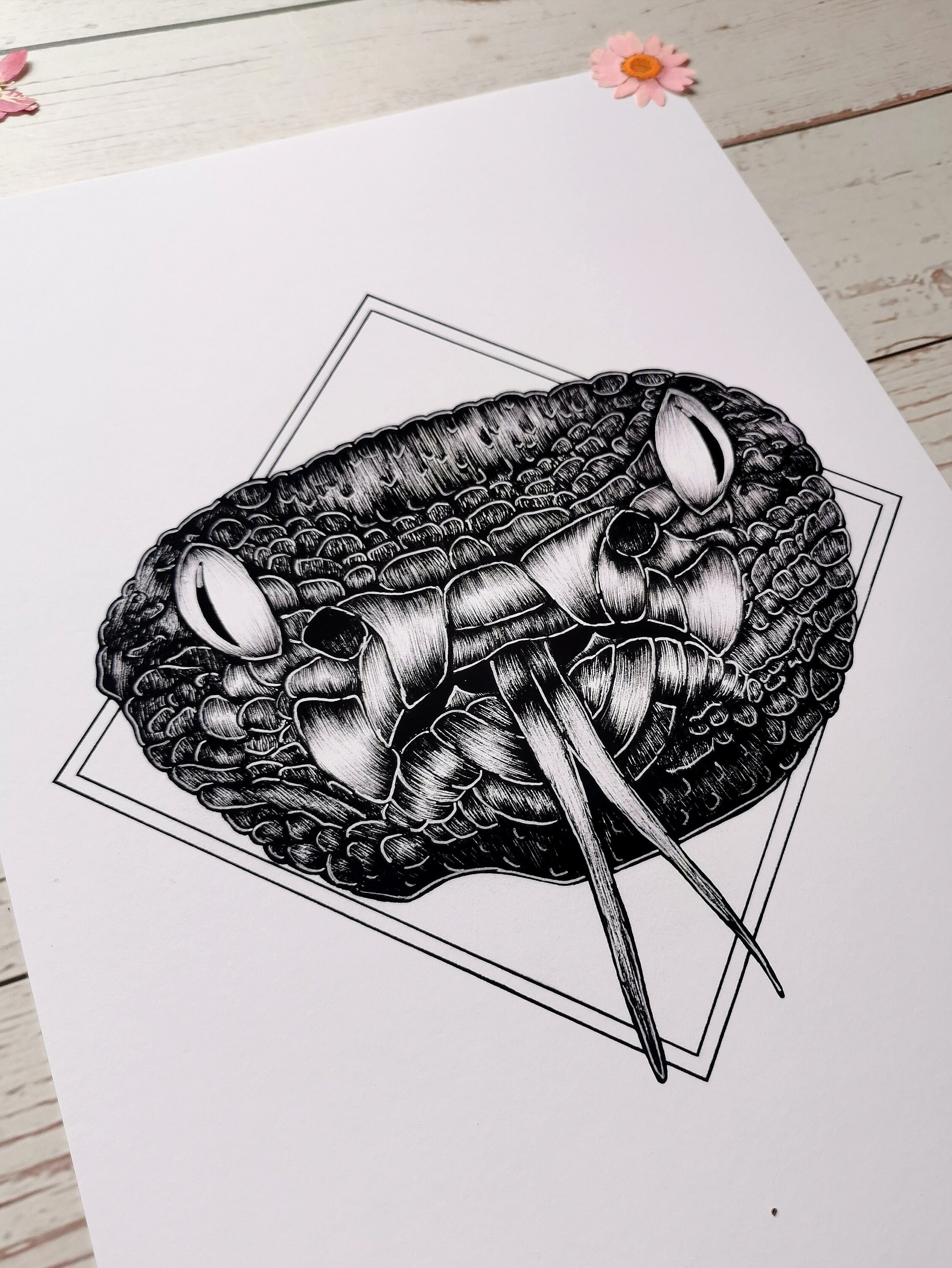 Snake Art Print Steampunk Pen Drawing Reptile Home Decor - Etsy UK