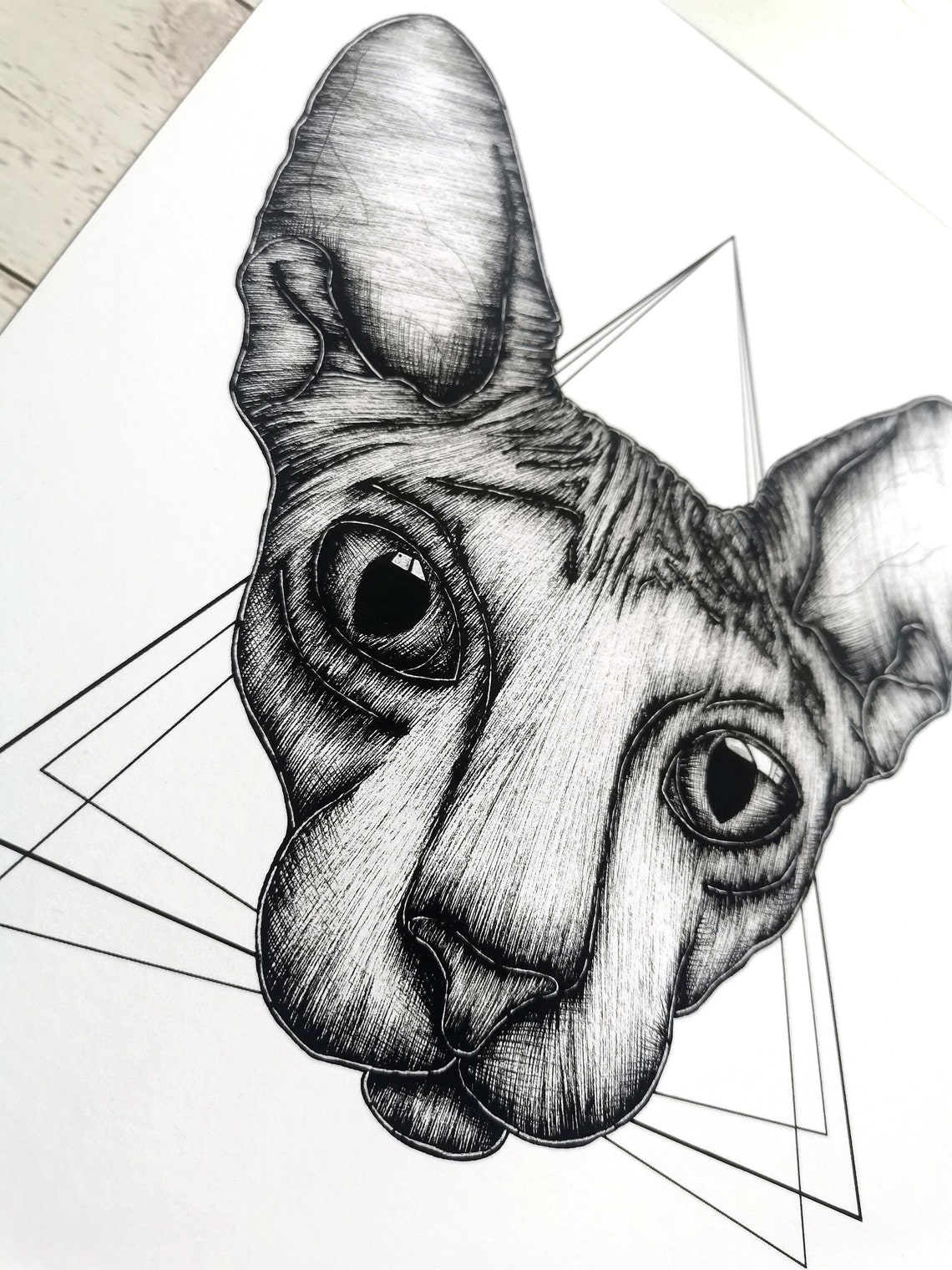 Sphynx Cat Art Print, Gift for Cat Lover, Cat Wall Art, Sphynx Home ...