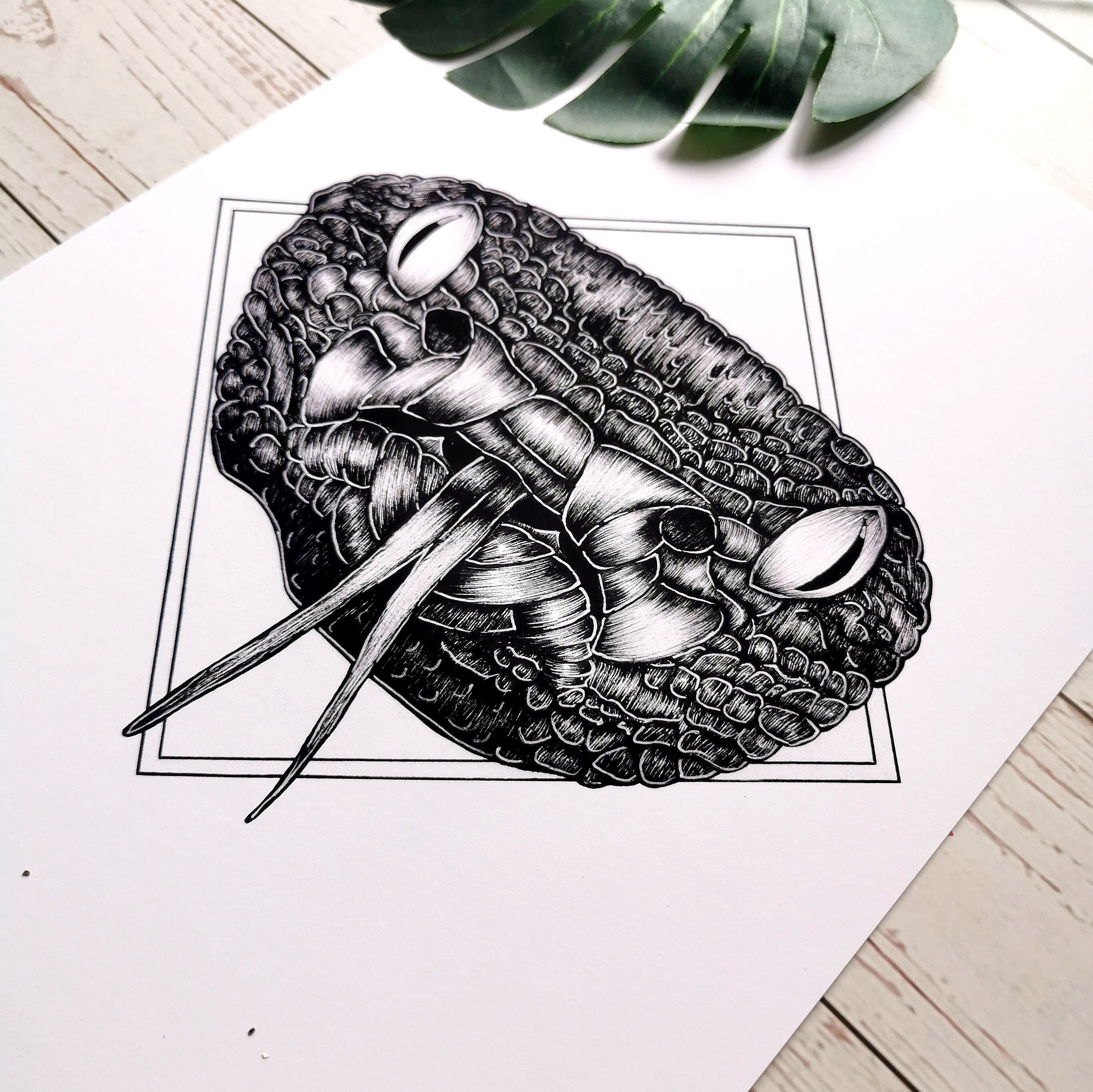 Snake Art Print Steampunk Pen Drawing Reptile Home Decor - Etsy UK