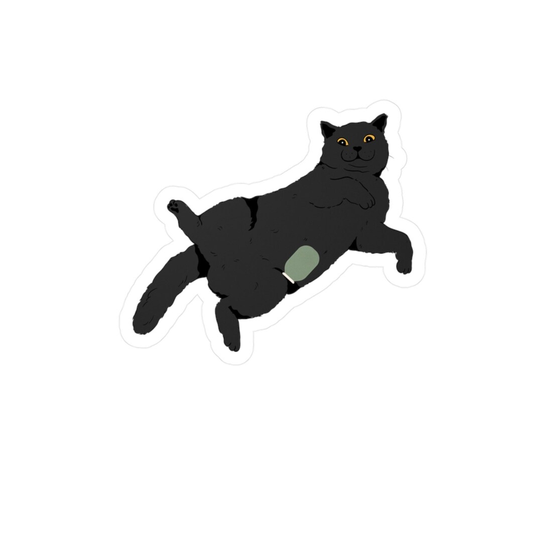 Cool Cat Colostomy Sticker/ibd/colorectal Cancer/crohn's Disease ...