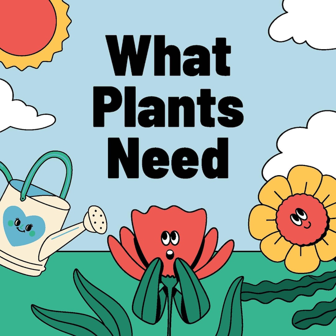 What Plants Need | Fun and Educational Kids' Ebook - Etsy