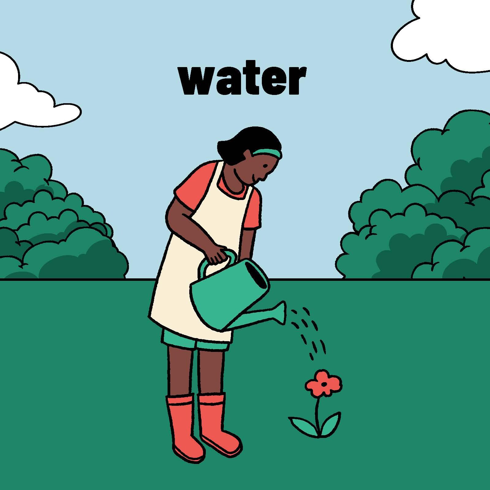 What Plants Need | Fun and Educational Kids' Ebook - Etsy