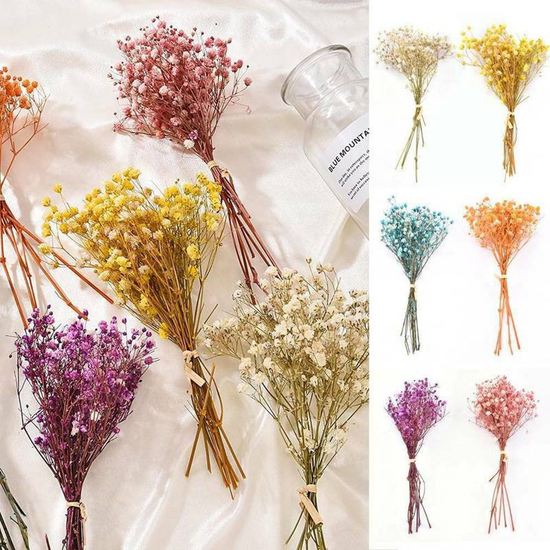 Mini Gypsophila Bouquet Natural Dried Flowers DIY Home Wedding Party ...