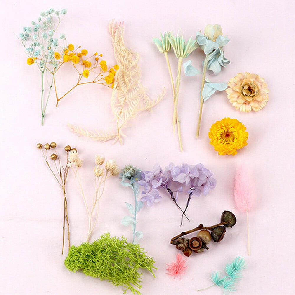 1 Box Bulk Mixed Dried Flowers Plants Epoxy UV Resin - Etsy Canada