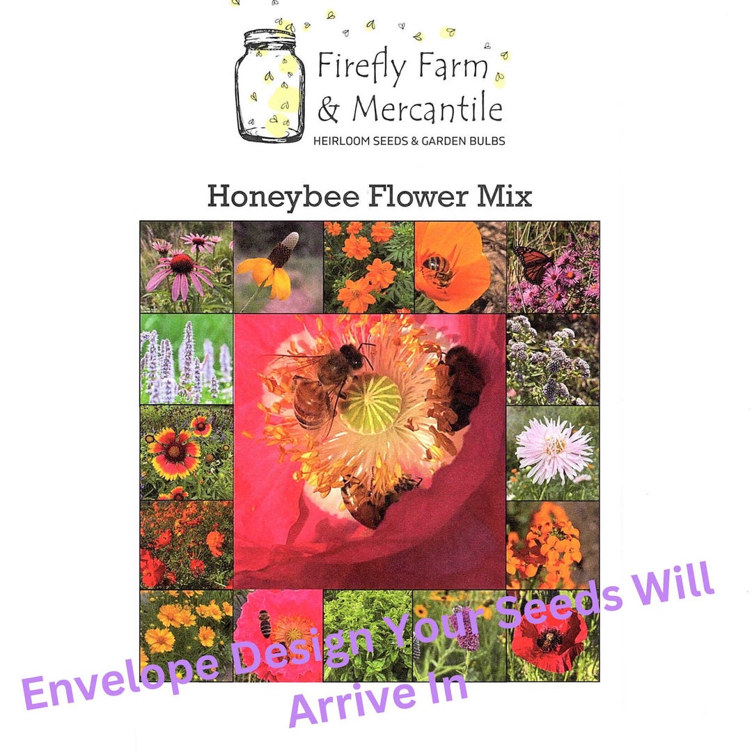 Honeybee Buffet Flower Mix: Helps Bees of All Types (covers 500 Sq Ft) - Etsy