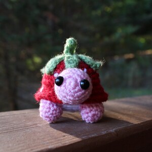 Strawberry Turtle | Handmade Crochet Turtle - Etsy