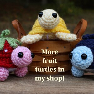 Strawberry Turtle | Handmade Crochet Turtle - Etsy