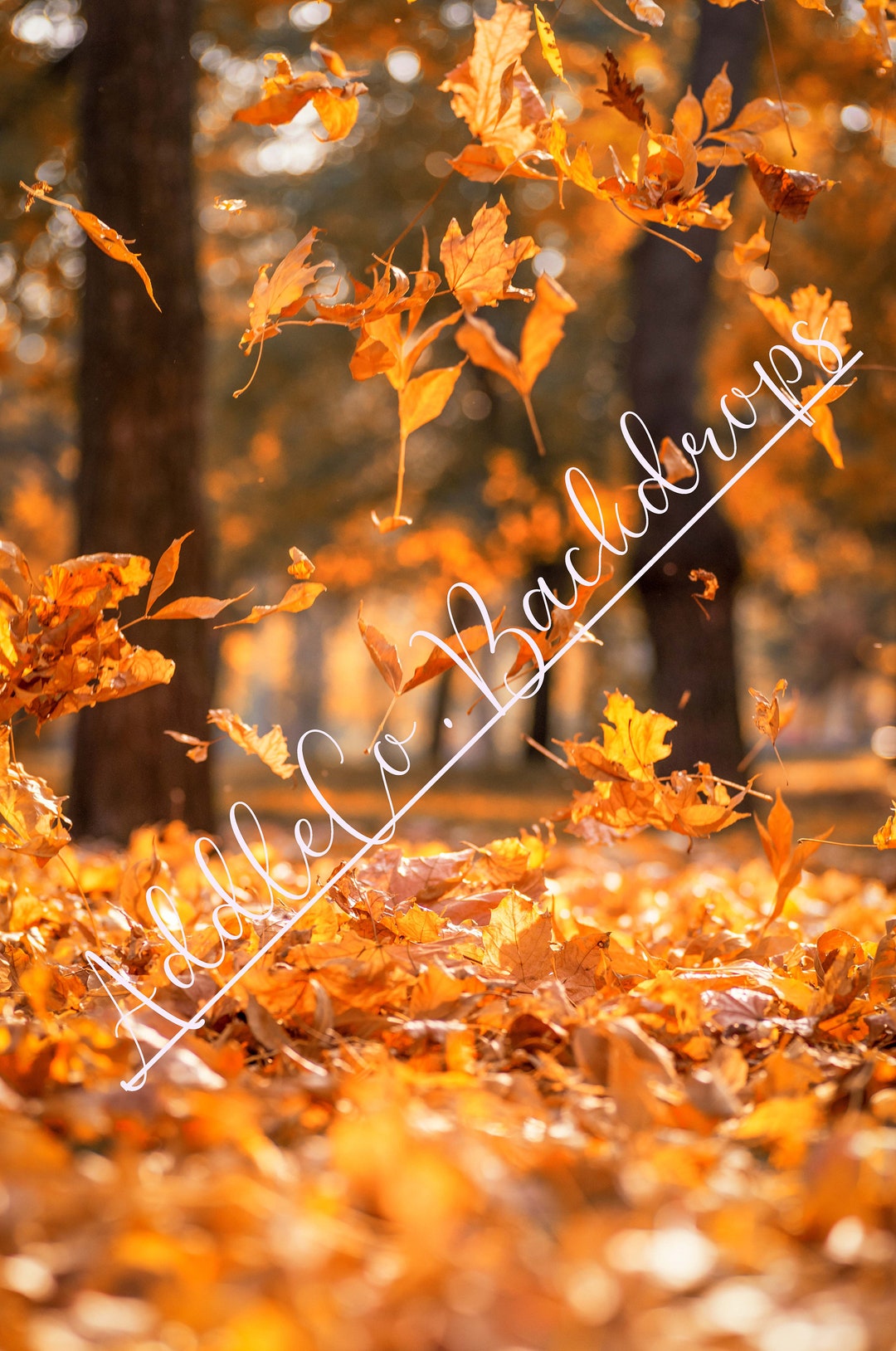 Digital Background, Fall Backdrop, Digital Backdrop Digital Background ...