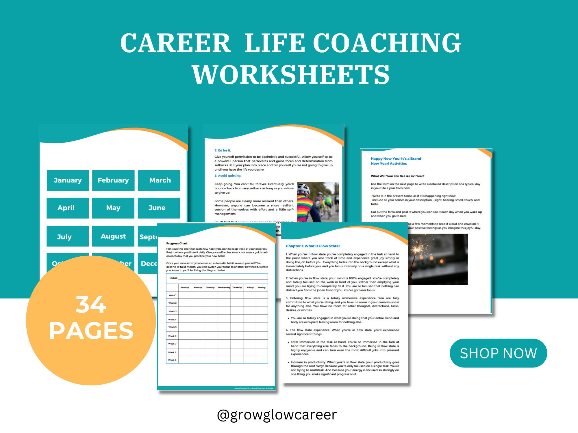 Career / Life Coaching Worksheets, Achieving Maximum Happiness ...