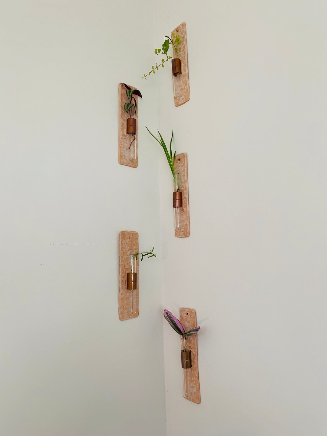 Propagation Wall Decor - Etsy
