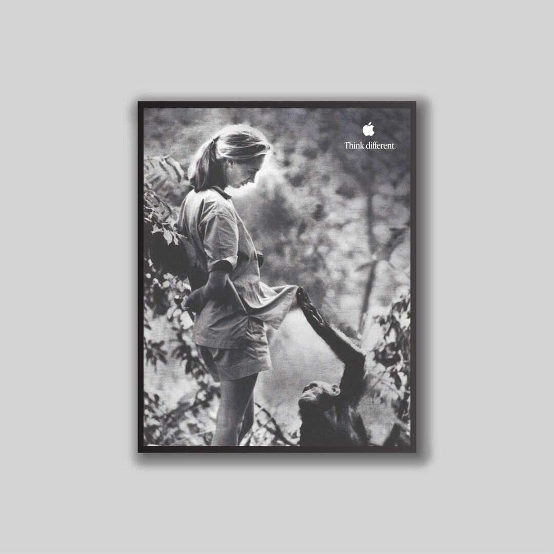 Apple 2000 jane Goodall Think Different Vintage Poster, Advertising ...