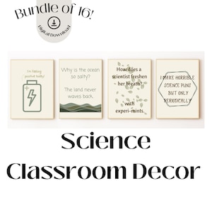Science Classroom Posters, Science Class Decorations, School Science ...