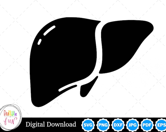 Liver SVG, Liver Anatomy Clipart, Liver Clip Art, Medical Graphic ...