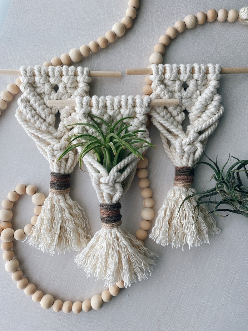 Magnetic Air Plant Holder | Etsy