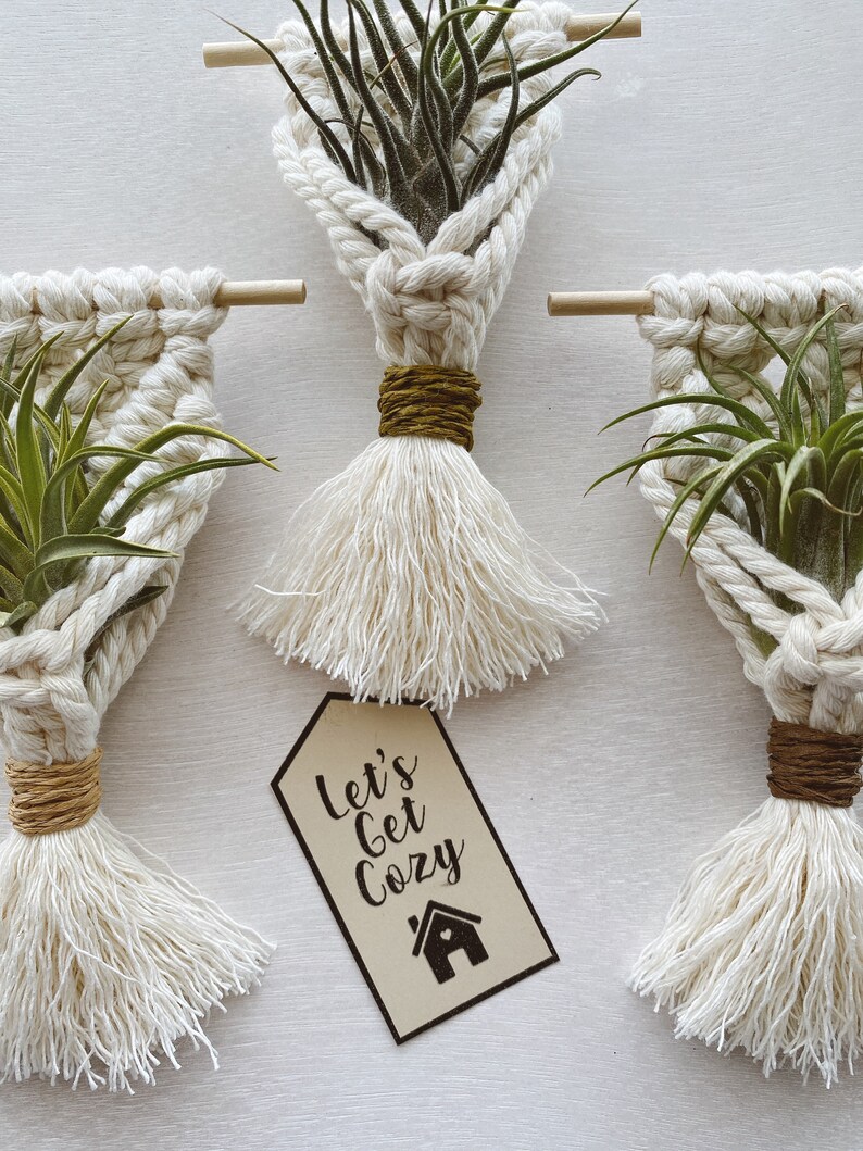 Magnetic Air Plant Holder | Etsy