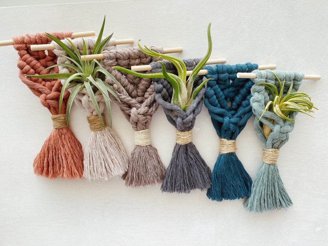 Magnetic Air Plant Holder - Etsy