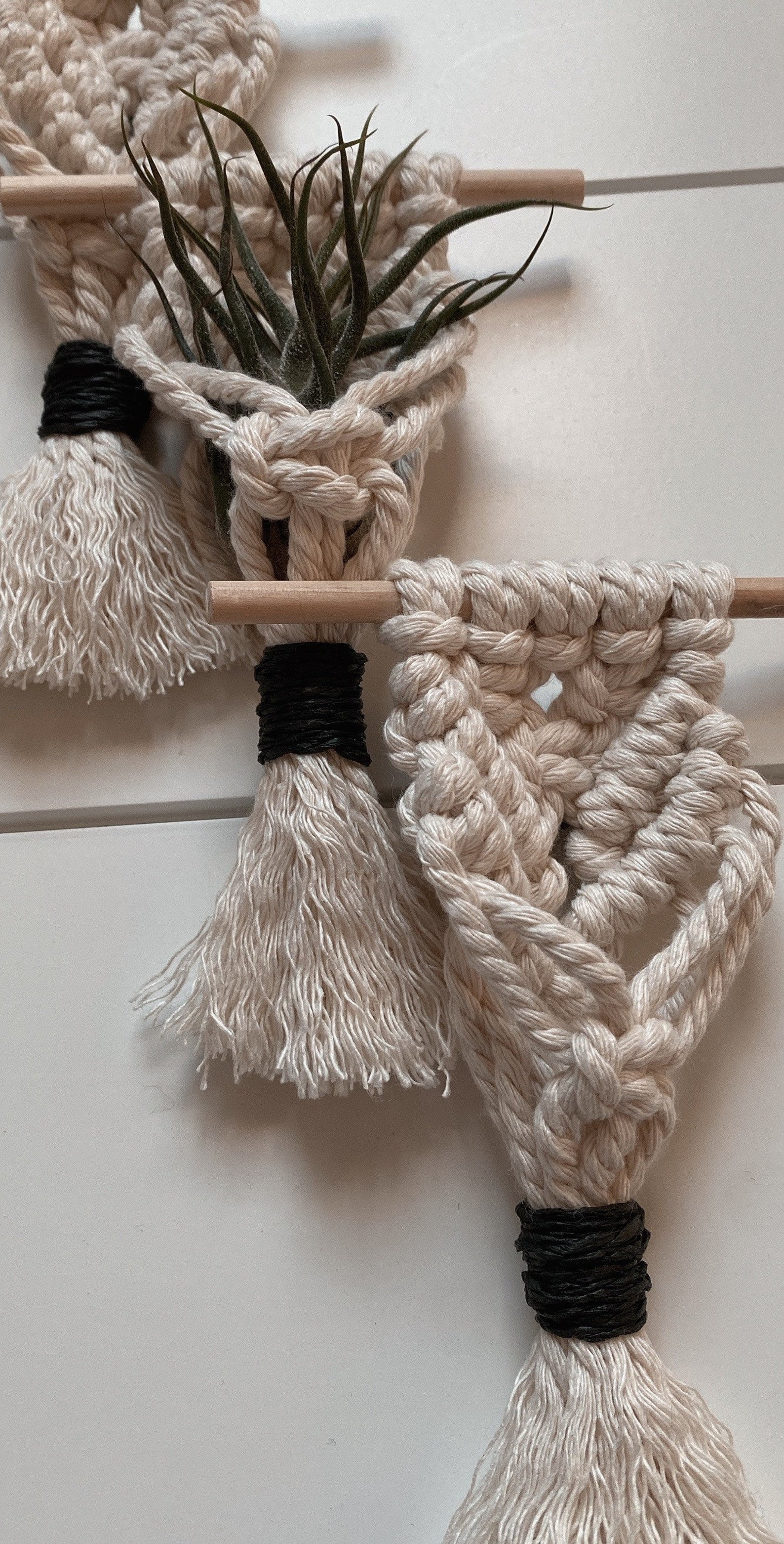 Magnetic Air Plant Holder | Etsy